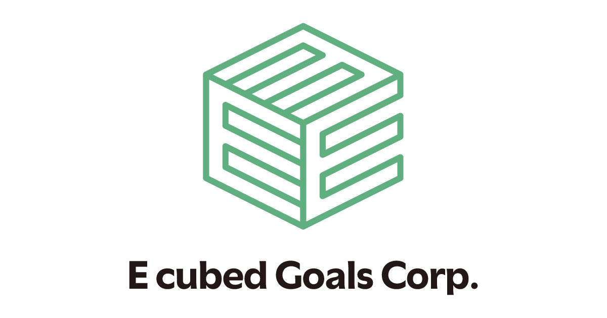 E Cubed Goals.